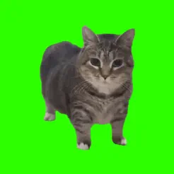 ‎BrainRot Cat on the App Store