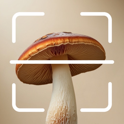 Mushroom Identifier ° Fungi ID by Youssef Agnaou