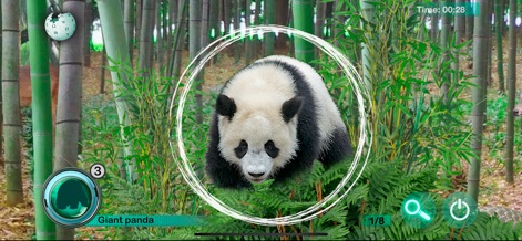 Hidden Animals: Seek and Find - Games App | MWM