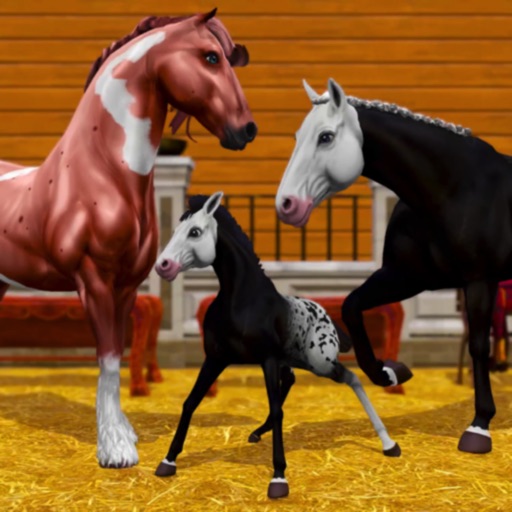 Star Equestrian - Horse Ranch by Foxie Ventures LLC