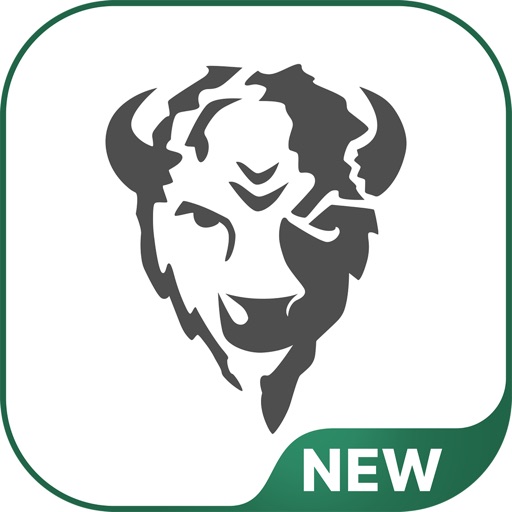 Bison Driver by Bison Technologies