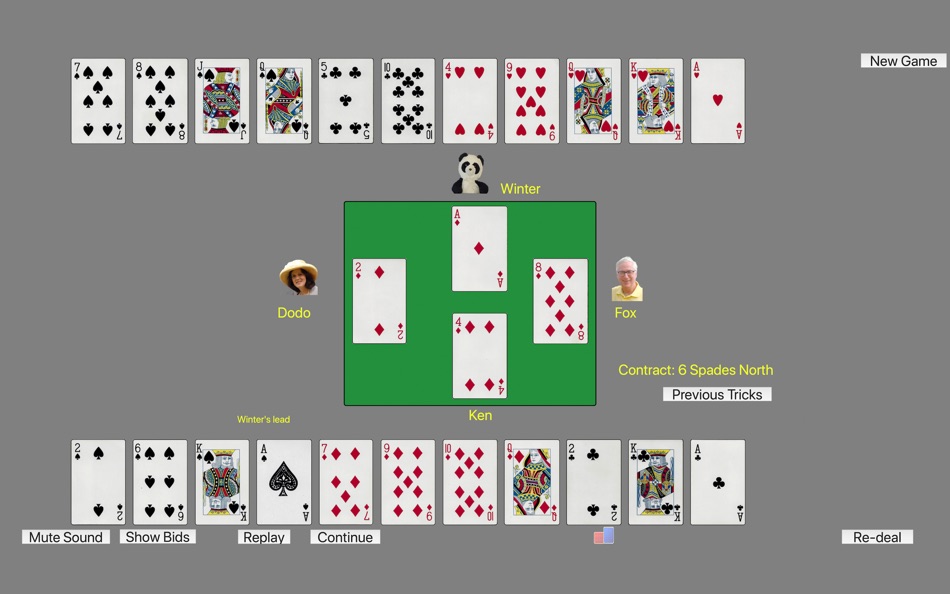 Bridge Master (de Ken Fox) - (macOS Jeux) — AppAgg