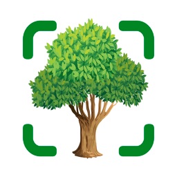 Tree Identifier AI Treelogy by Appkruti Solutions LLP