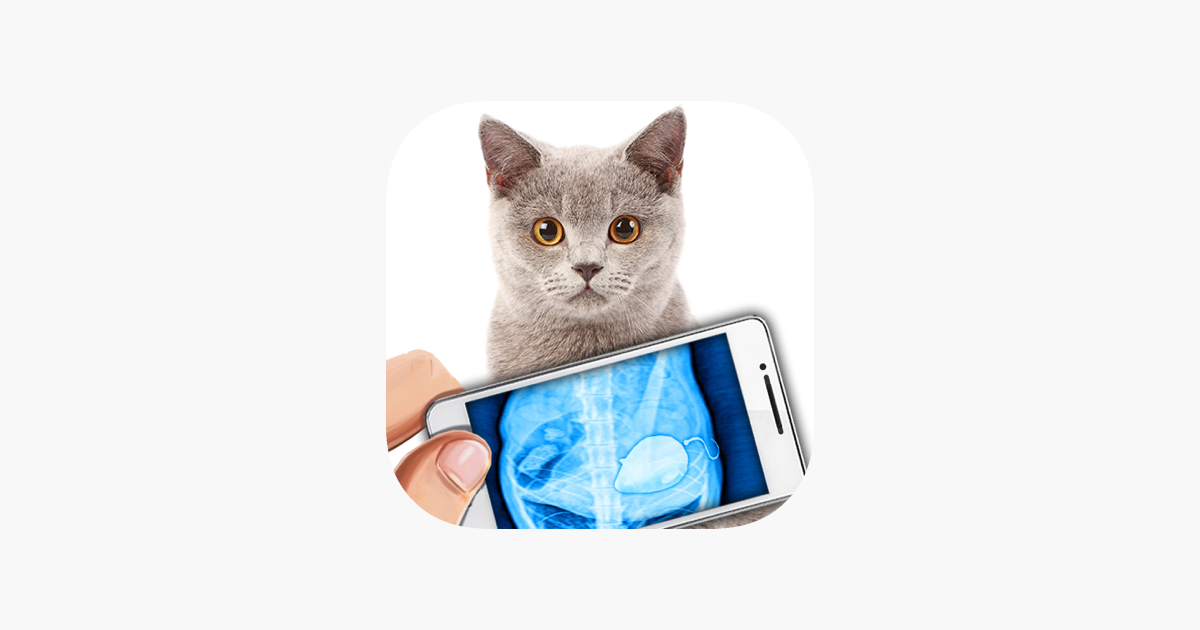 ‎Simulator X-Ray Cat on the App Store