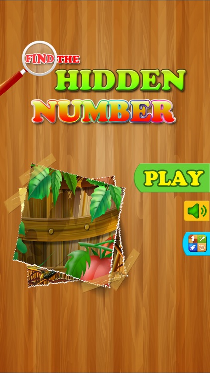 Find the hidden number by MetaOption LLC