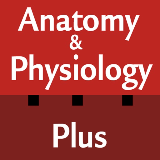 Anatomy & Physiology Plus Flash Cards by Spearhead Global Inc.