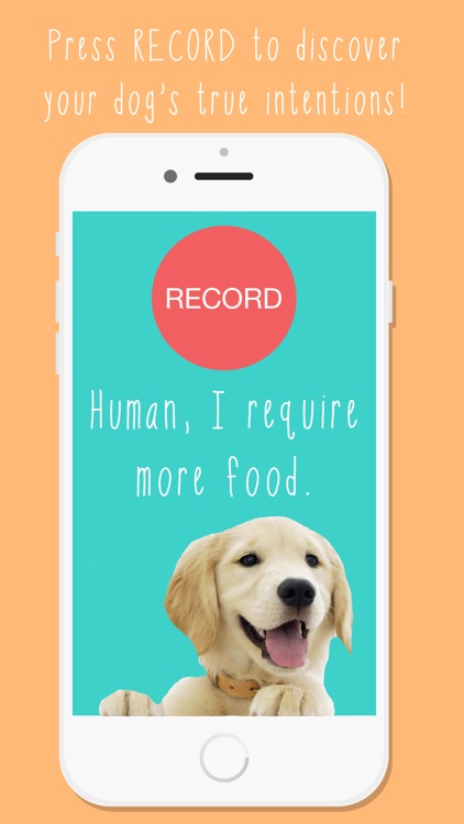 Dog Translator and Communicator Free by WALTER HELLER