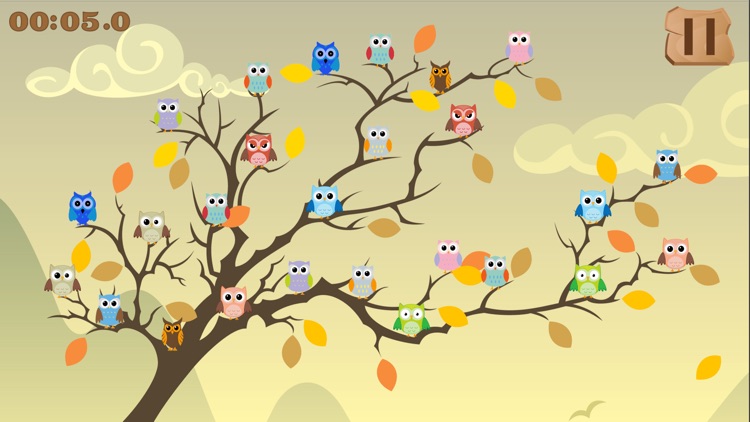 Owls - Learn fun facts about owls while finding matching pairs! by ...