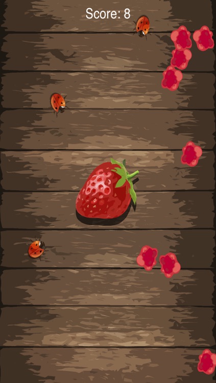 A Bug Attack! Beetles & Insects Smasher Game for Children by Johannes ...