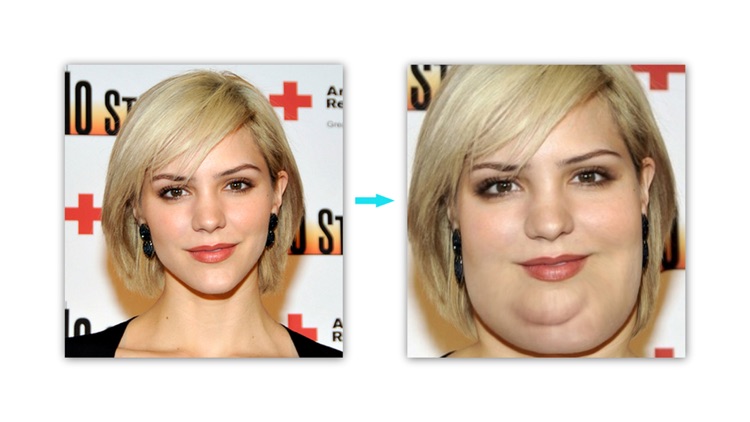 Face Fat Tool - Make You Look Ridiculously FAT by Haiwen Soft, Inc.