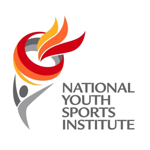 NYSI by Matthew Wylde