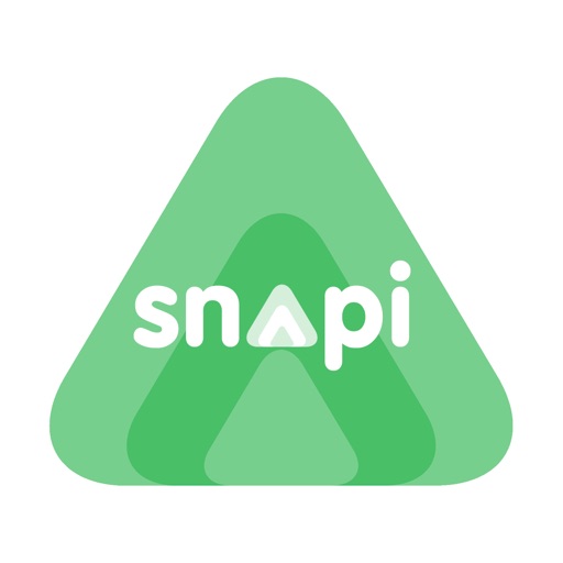 SNAPI Sales System by Biznet3