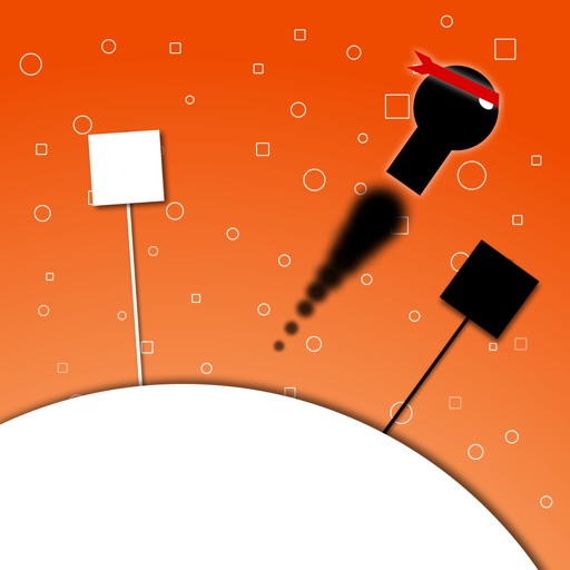 The Crazy Ninja by Harold Hemmings