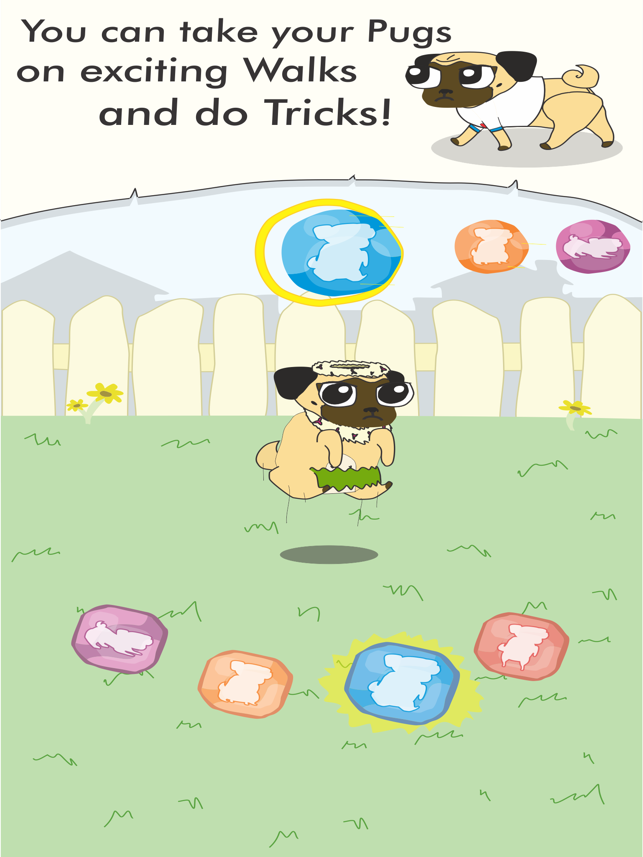 【iOS APP】Growing Pug 哈巴狗帕格養成遊戲 – Dr.愛瘋 APP Navi