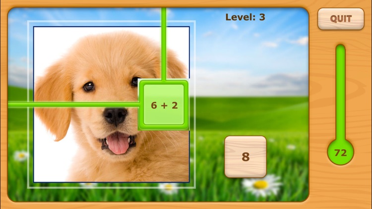 Animals Hidden Math Puzzle by Hien Ton