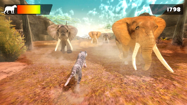 Tiger World | Free Tigers Simulator Racing Game For Kids by Free Wild ...