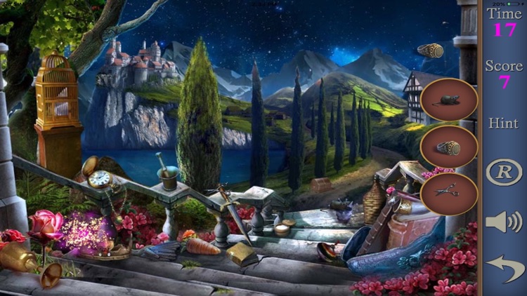 Hidden Objects Of The Stolen Princess by sumit aghera