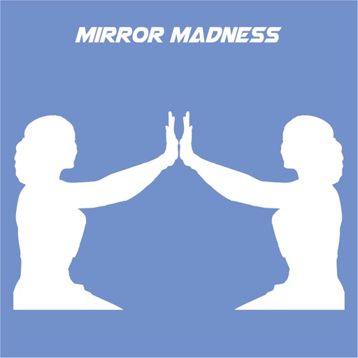 Mirror Madness by E-Healthcare Solutions LLC