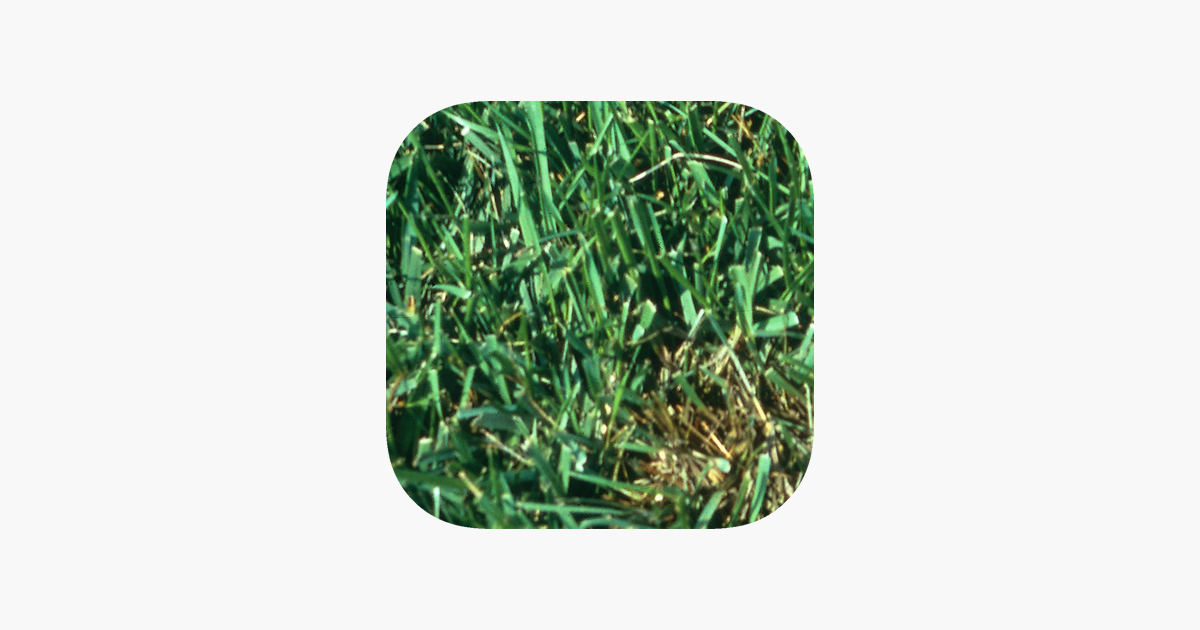 ‎Turf MD on the App Store