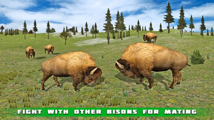 Angry Bison American Buffalo Simulator by Imran Sohail