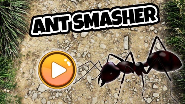 Ant Smasher - Kids Games by Ferran Espuna Prat