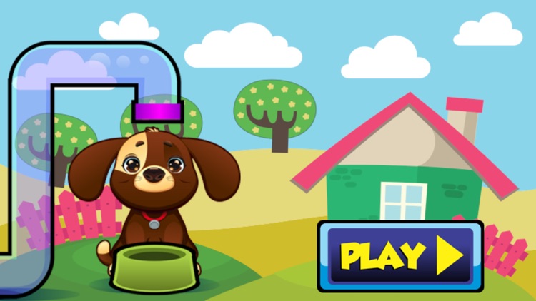 Dog Kid Game Number and Math by Phornsak Tibyakad