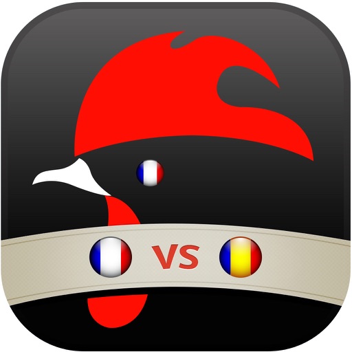 France Roumanie by Sajjad MUKHTAR