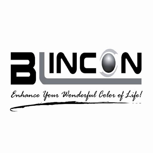 Blincon by Andrew Gazdecki