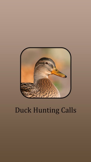Duck Hunting Backgrounds For Iphone