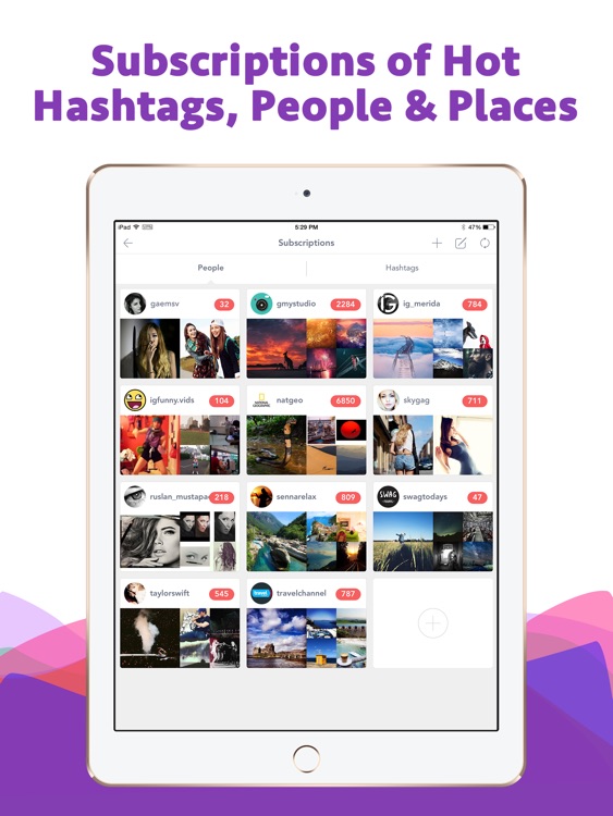 Padview for Instagram - former Padgram on iPad by Minlong Shi