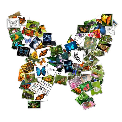 Instant Collage Mix by Millennium Maximus