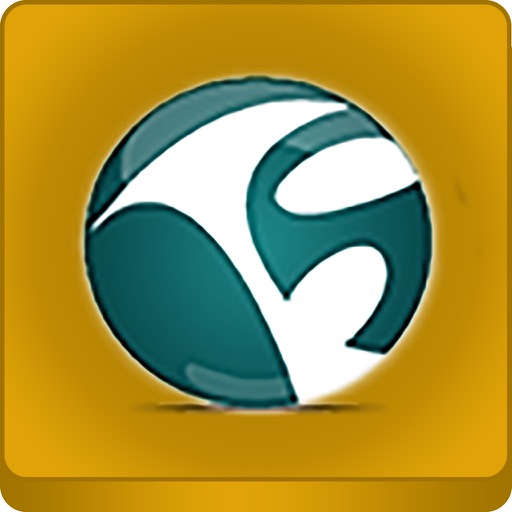 Terrastone INC by Yamil Falcon