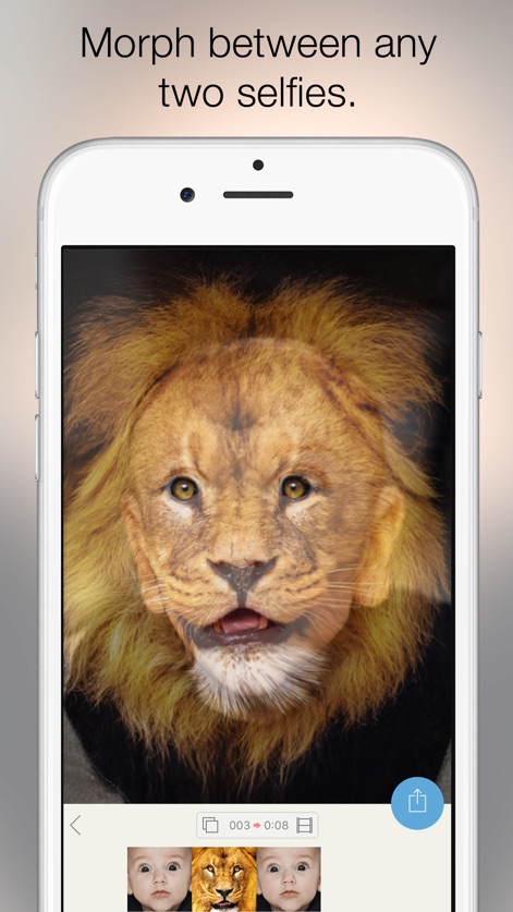 Morphy - Face Morph GIF & Movie Maker - Application Photo et vidéo | MWM
