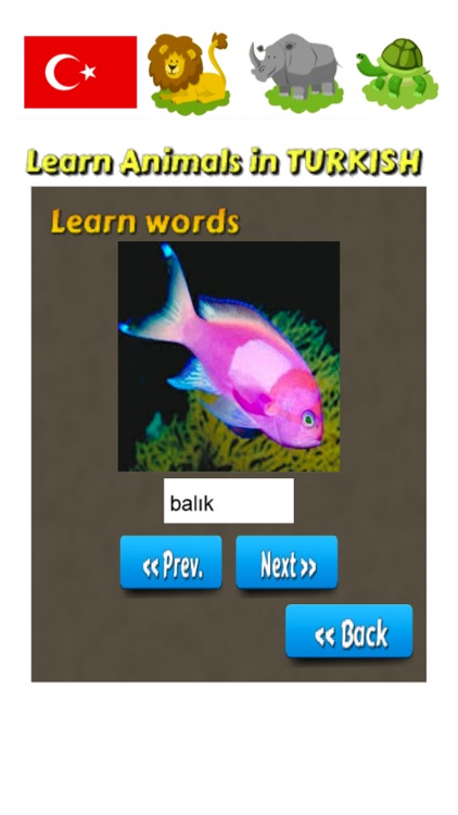 Learn Animals in Turkish Language by Murat Yilmaz