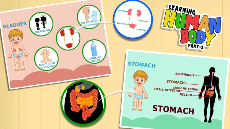 Learning Human Body Part 1 by Swati Panchal