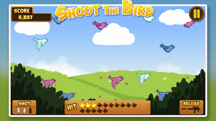 Shoot that Bird Pro by LLC It Works
