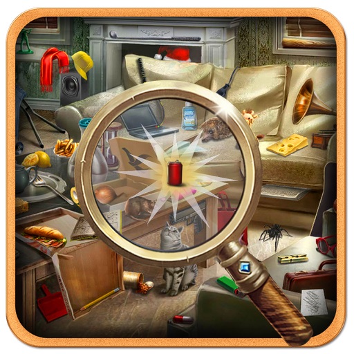 Living House Hidden Object by Anil Sangani