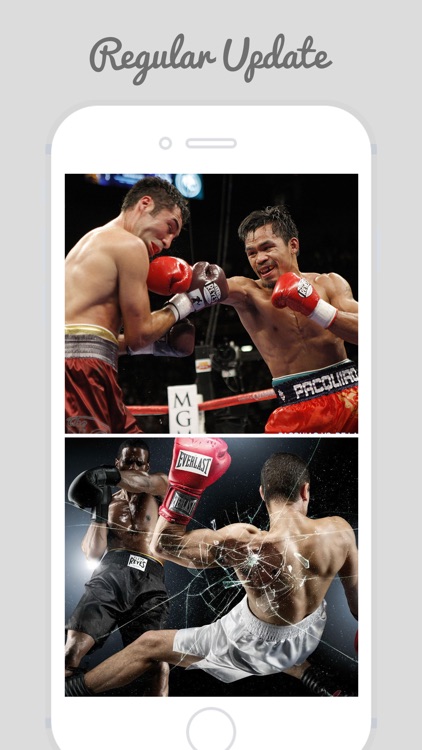 Boxing Wallpapers - Best Collection Of Boxing Wallpapers by J. N.