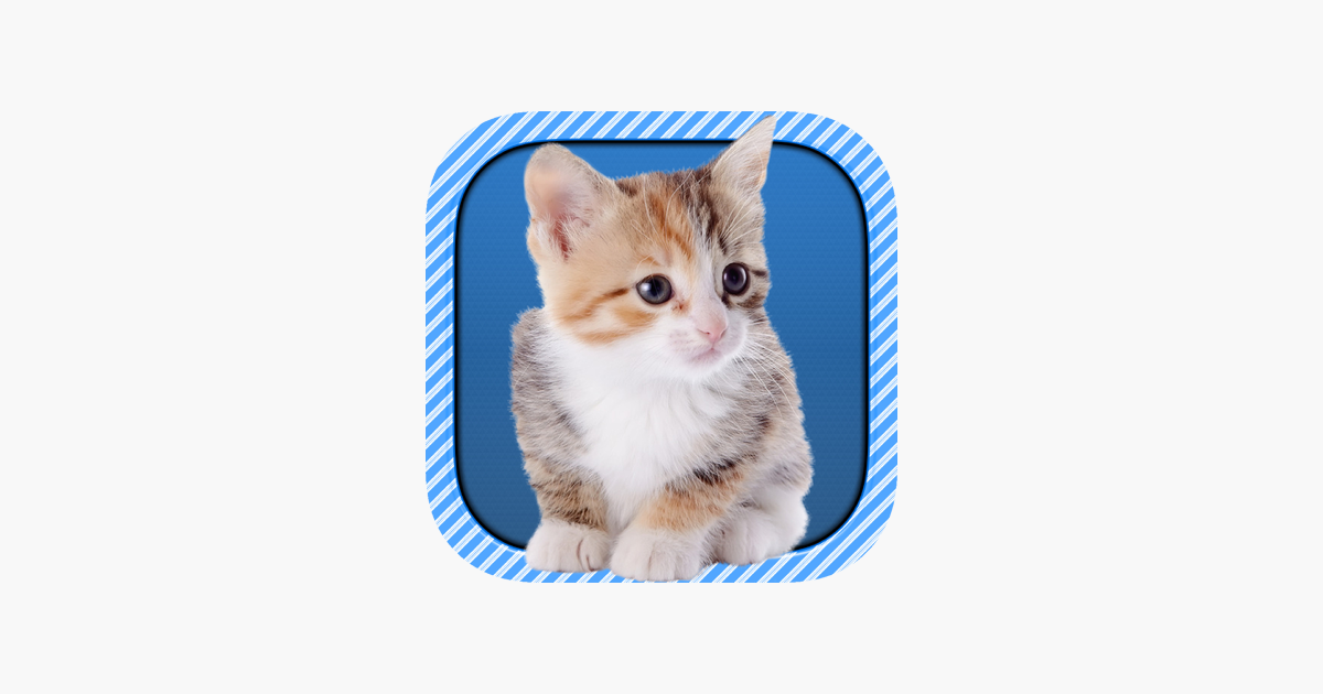‎App Store 上的“InstaKitty - A Funny Picture Editor with Cute Cats and ...