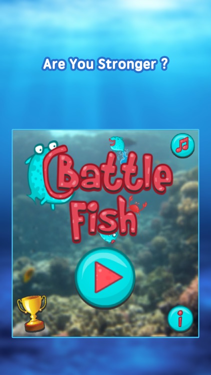 Battle Fish by Rui Wang