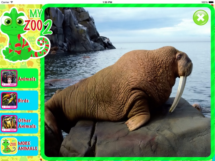MY ZOO 2 - Learn Animal Names by Alina Yeremenko