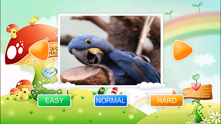 Birds JigSaw Puzzle Game for Kids Free by LUONG THI THOM