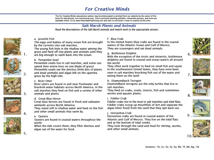 A Day in the Salt Marsh by Arbordale Publishing, LLC