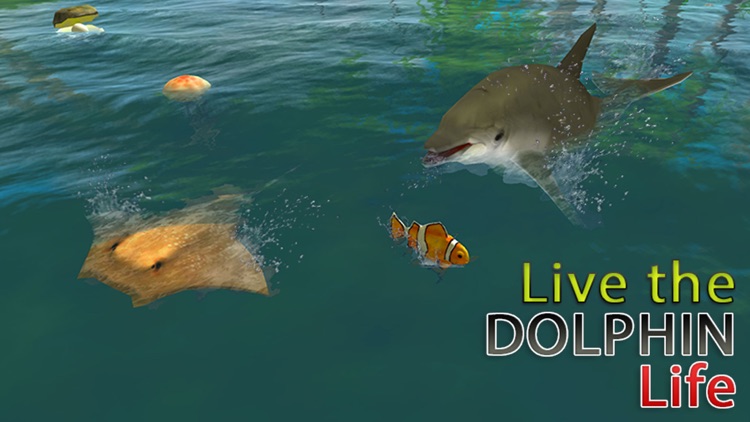 Dolphin Simulator 3D – Underwater Fish Simulation Game by Shahzada Maqbool