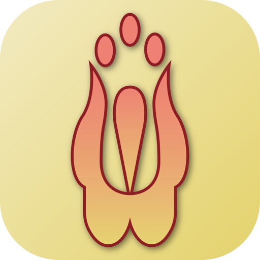 Padek Healthcare Pharmacy by Digital Pharmacist Inc.