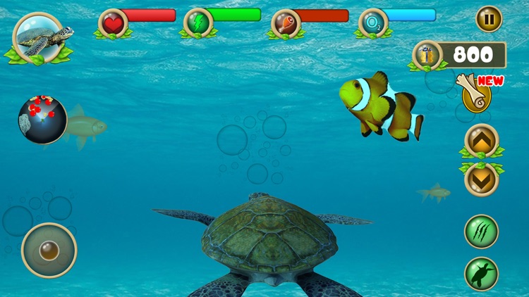 Sea Turtle Survival Sim Games by Usman Sadiq