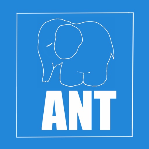 ANT attention test by Rodrigo Flores