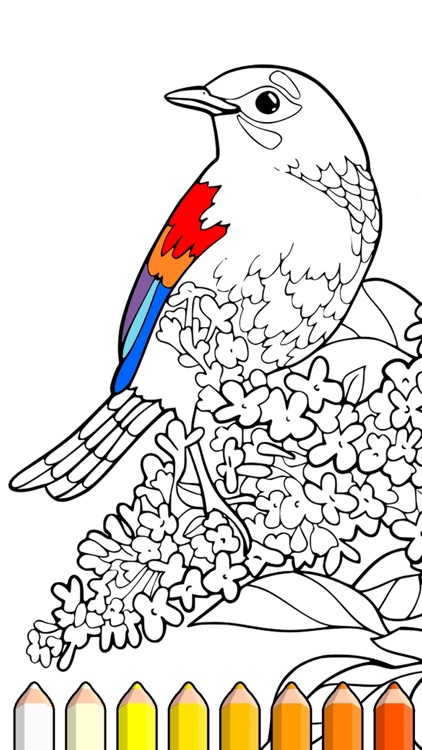 Coloring Expert by pl ayground