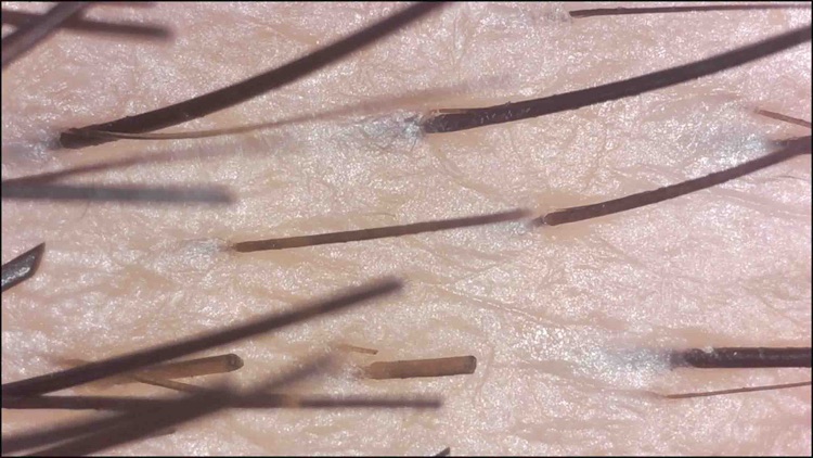 UMW10 by Shenzhen Reecam Tech. Ltd.