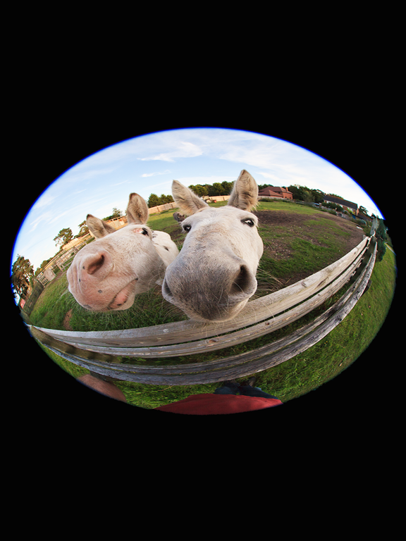 「Fisheye Camera - Pro Fish Eye Lens with Live Lense Filter Effect ...